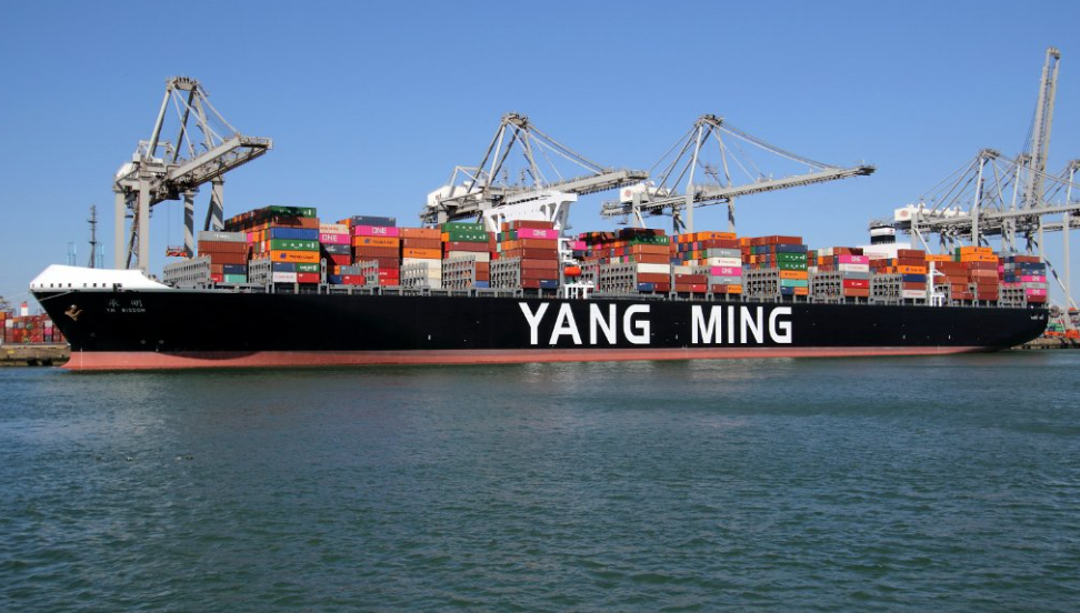 Shipowner / Shipmanager - YANG MING MARINE TRANSPORT CORPORATION ...